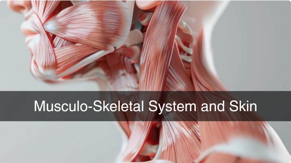 Musculo-Skeletal System and Skin - LearnMed